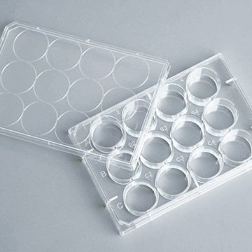 12 Well Cell Culture Plates