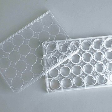 24 Well Cell Culture Plates